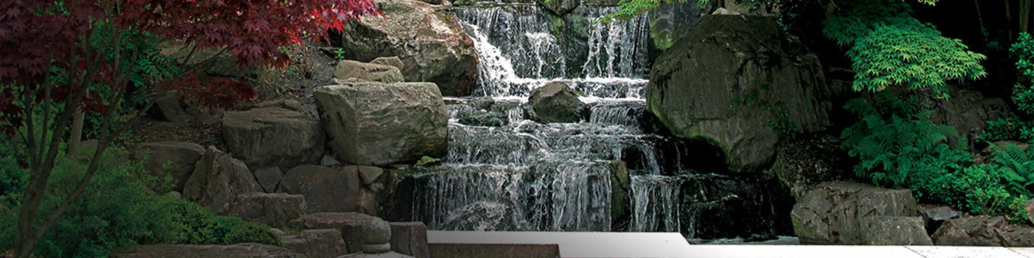 Feature Stones | CED Stone