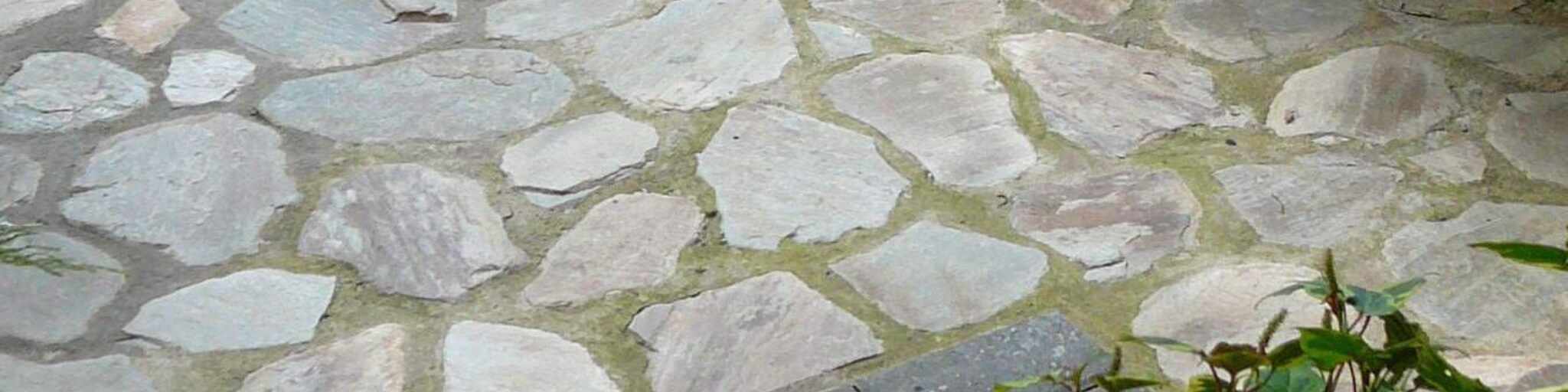 Paddlestone Paving | CED Stone