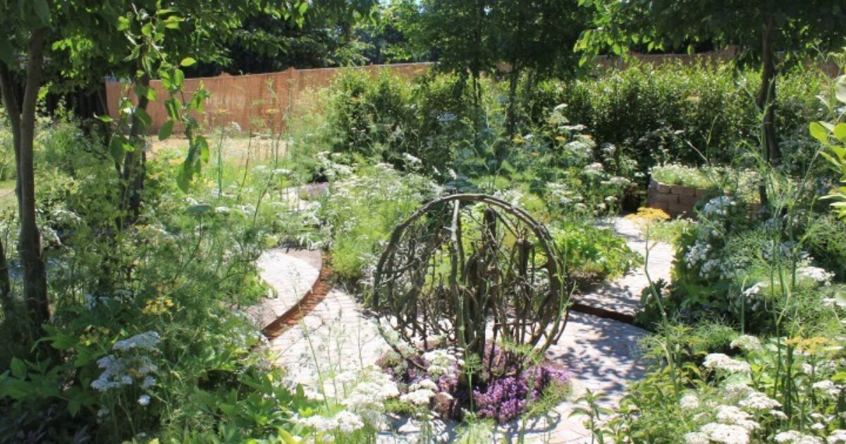 Project case study: The Health and Wellbeing Garden | CED Stone