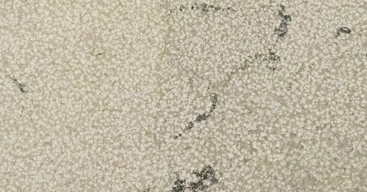 Purbeck | CED Stone