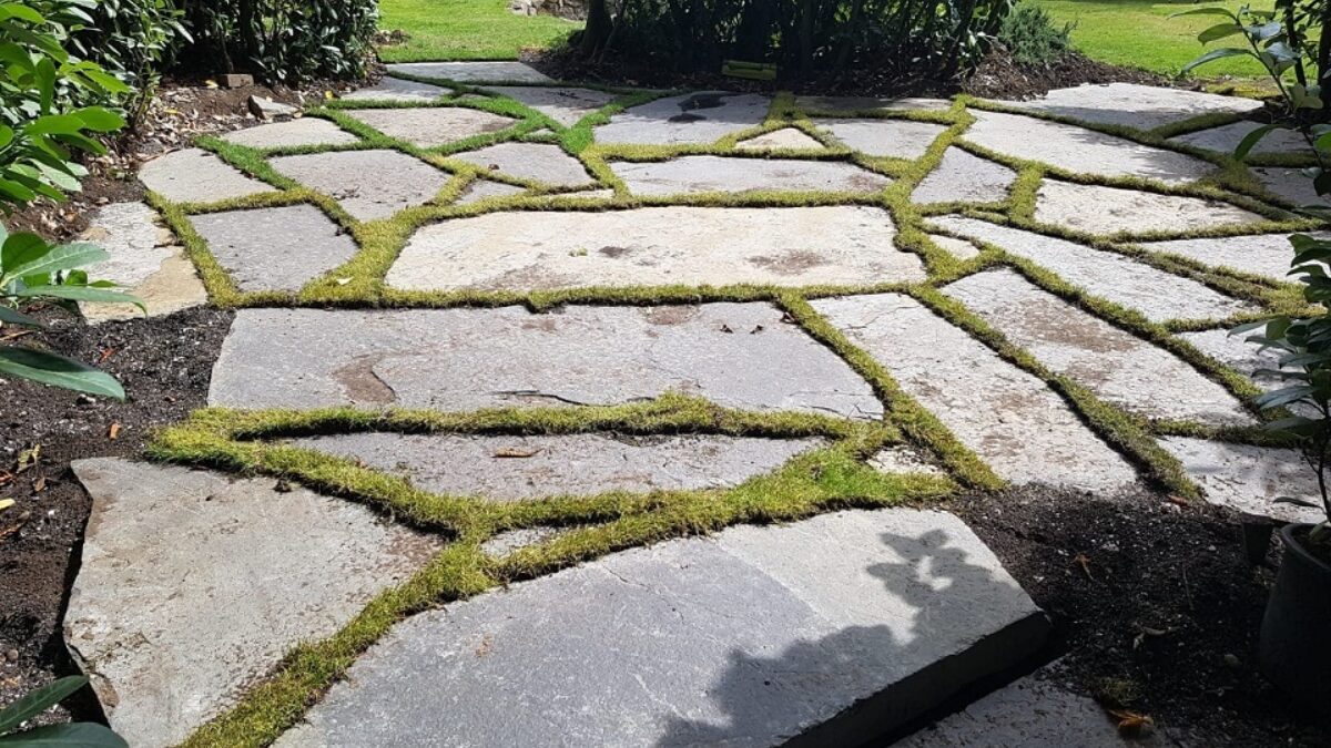 Pathways | CED Stone