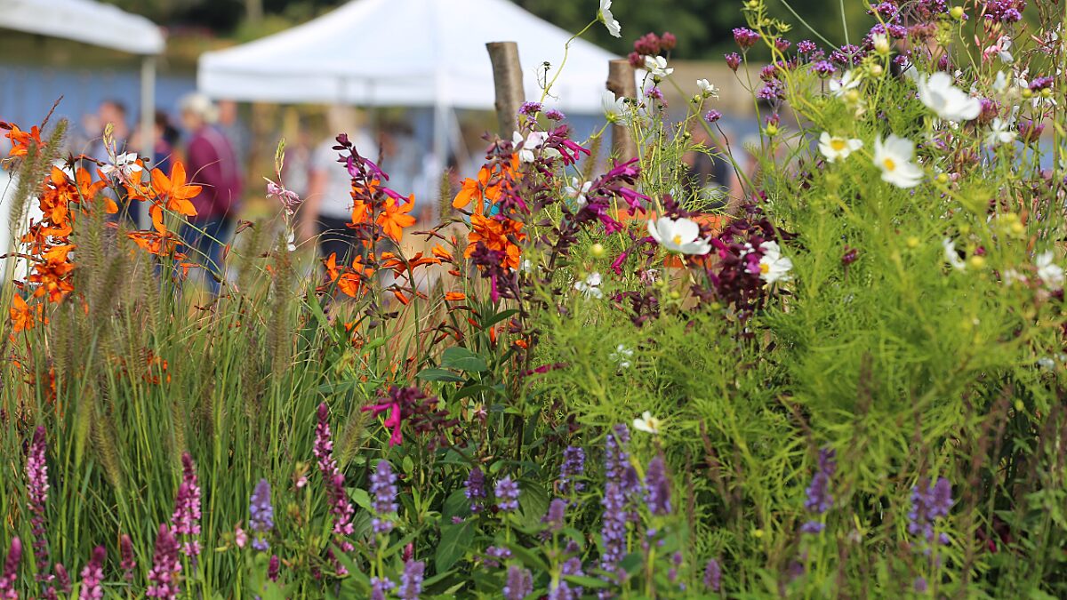 Belvoir Castle Flower & Garden Show Design & Build… | CED Stone