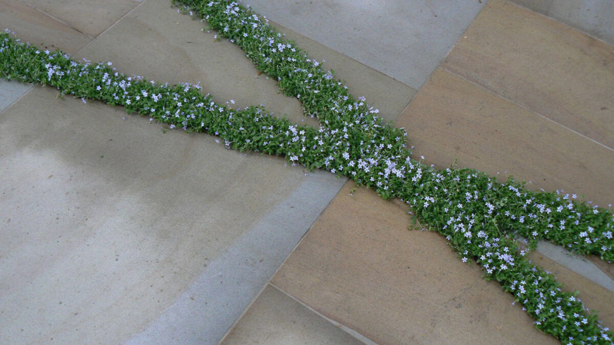 Buff Grey Sawn Yorkstone | CED Stone