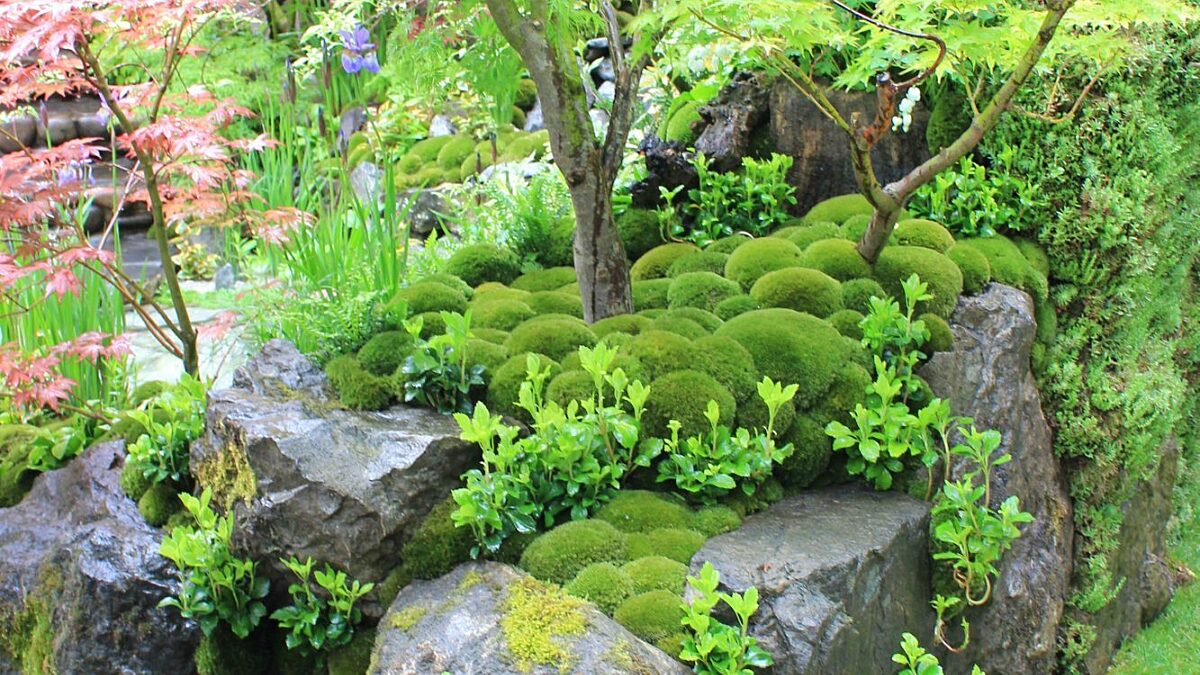 Project case study: Edo no Niwa: Edo Garden | CED Stone