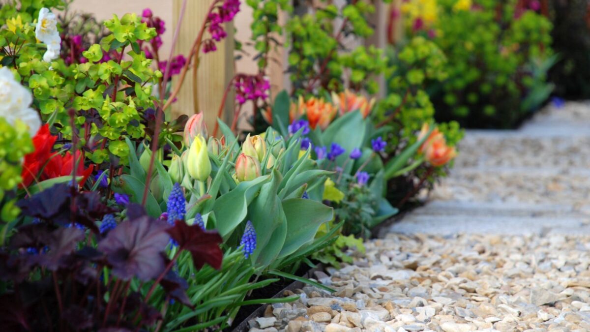 Project case study: Victoria Park Mazda: A Front Garden | CED Stone
