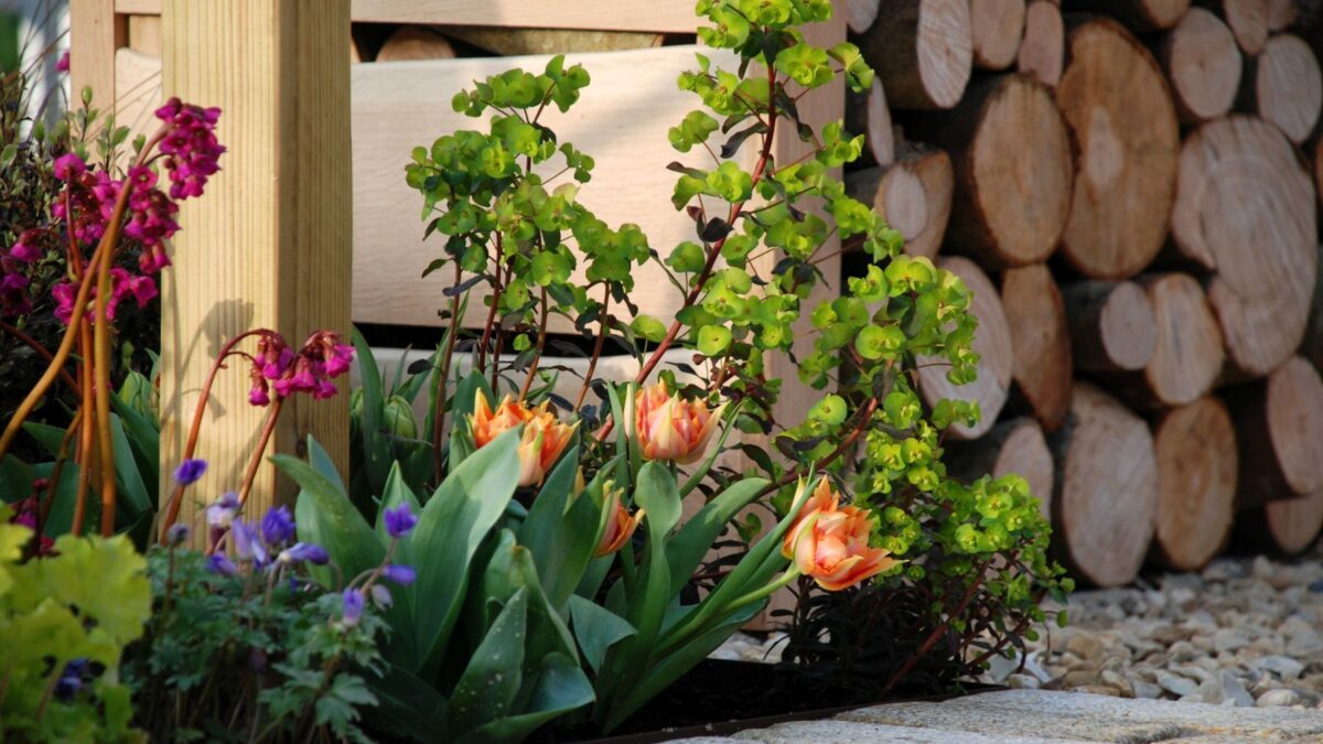 Project case study: Victoria Park Mazda: A Front Garden | CED Stone
