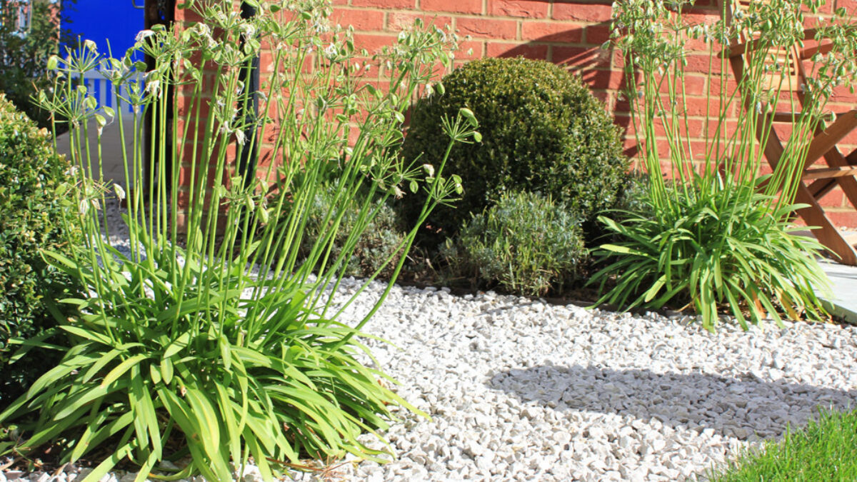 White Limestone Aggregate | CED Stone