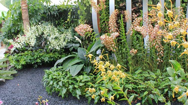 Project case study: The Hidden Beauty of Kranji | CED Stone