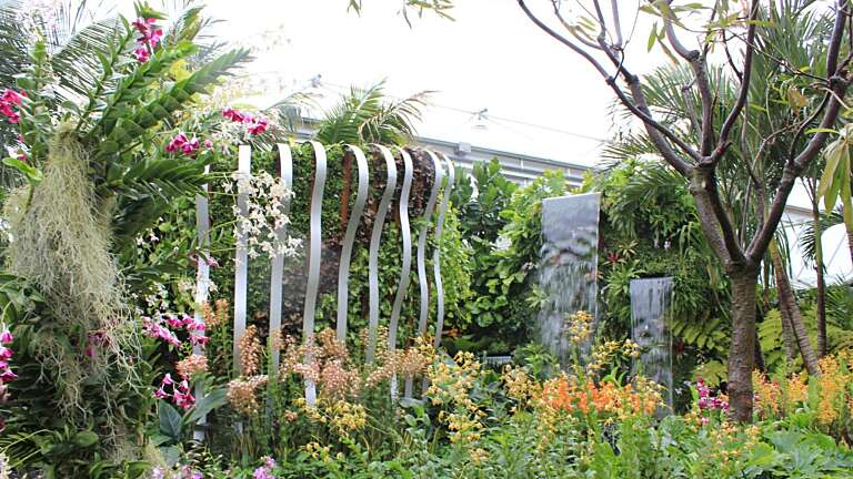 Project case study: The Hidden Beauty of Kranji | CED Stone