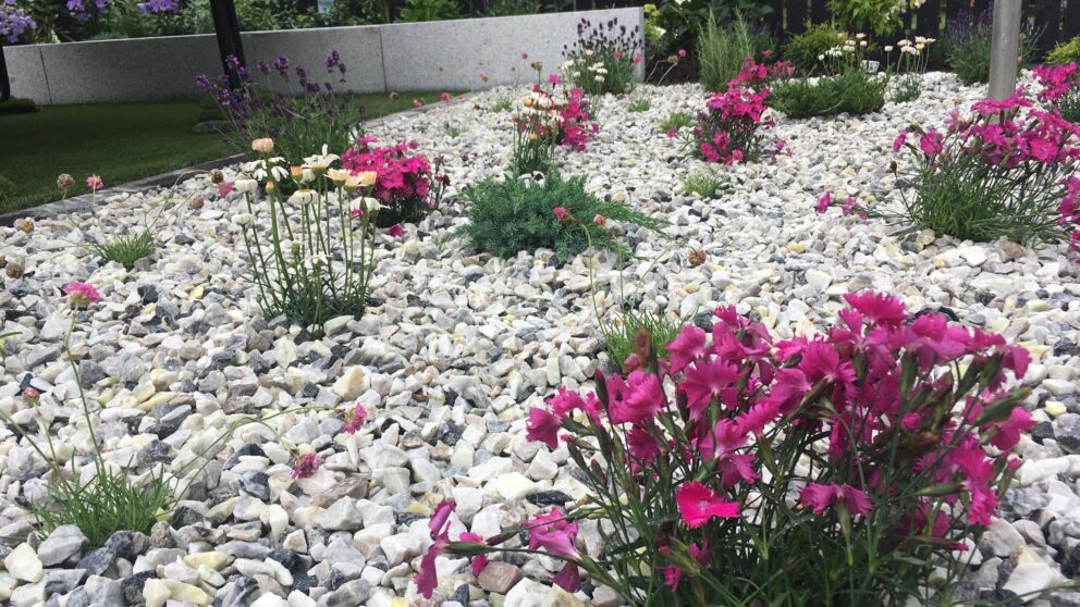 Meadowgrass Marble Aggregate | CED Stone