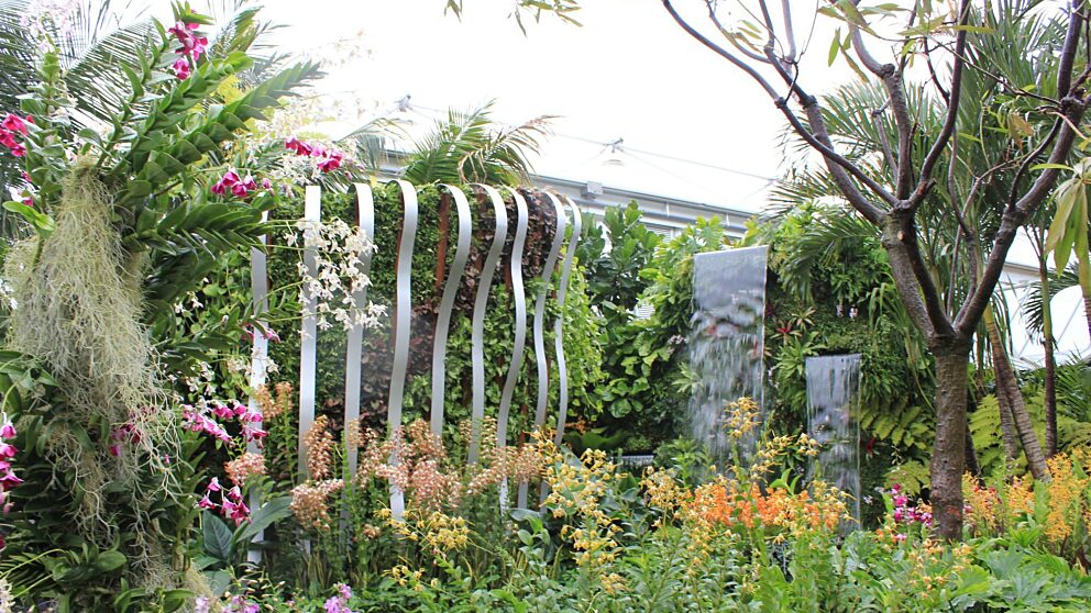 Project case study: The Hidden Beauty of Kranji | CED Stone