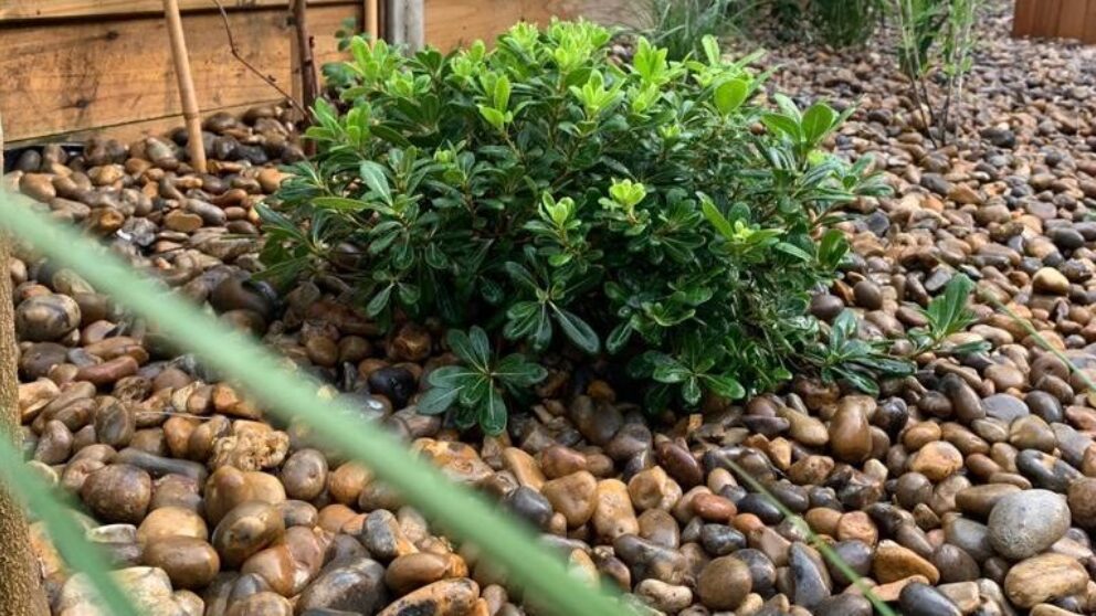 Rounded Flint Pebbles | CED Stone