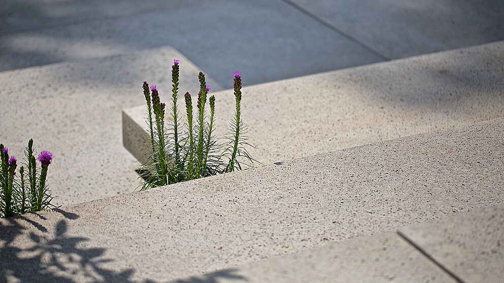 Natural Stone Suppliers | Stone Paving | Commercial Stone | CED Stone