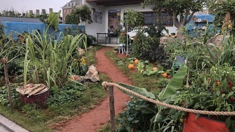 News item: 30 Years Supplying Stone To RHS Chelsea Flower… | CED Stone